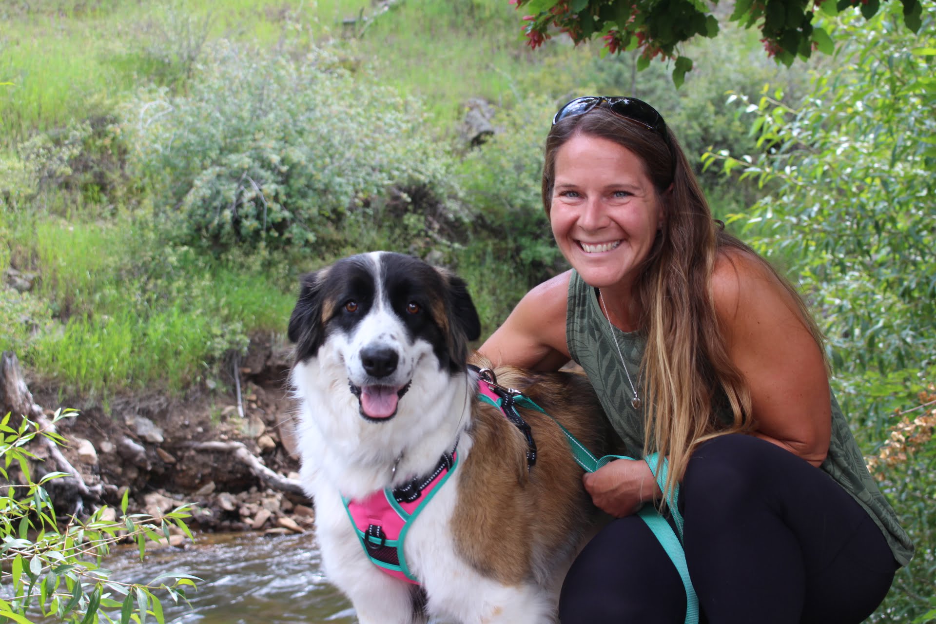Our Team - Inspire Animal Hospital - Parker